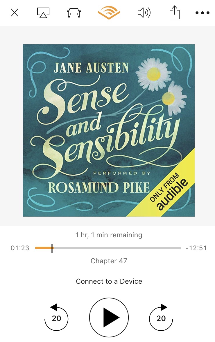 Sense & Sensibility | Austin Fey